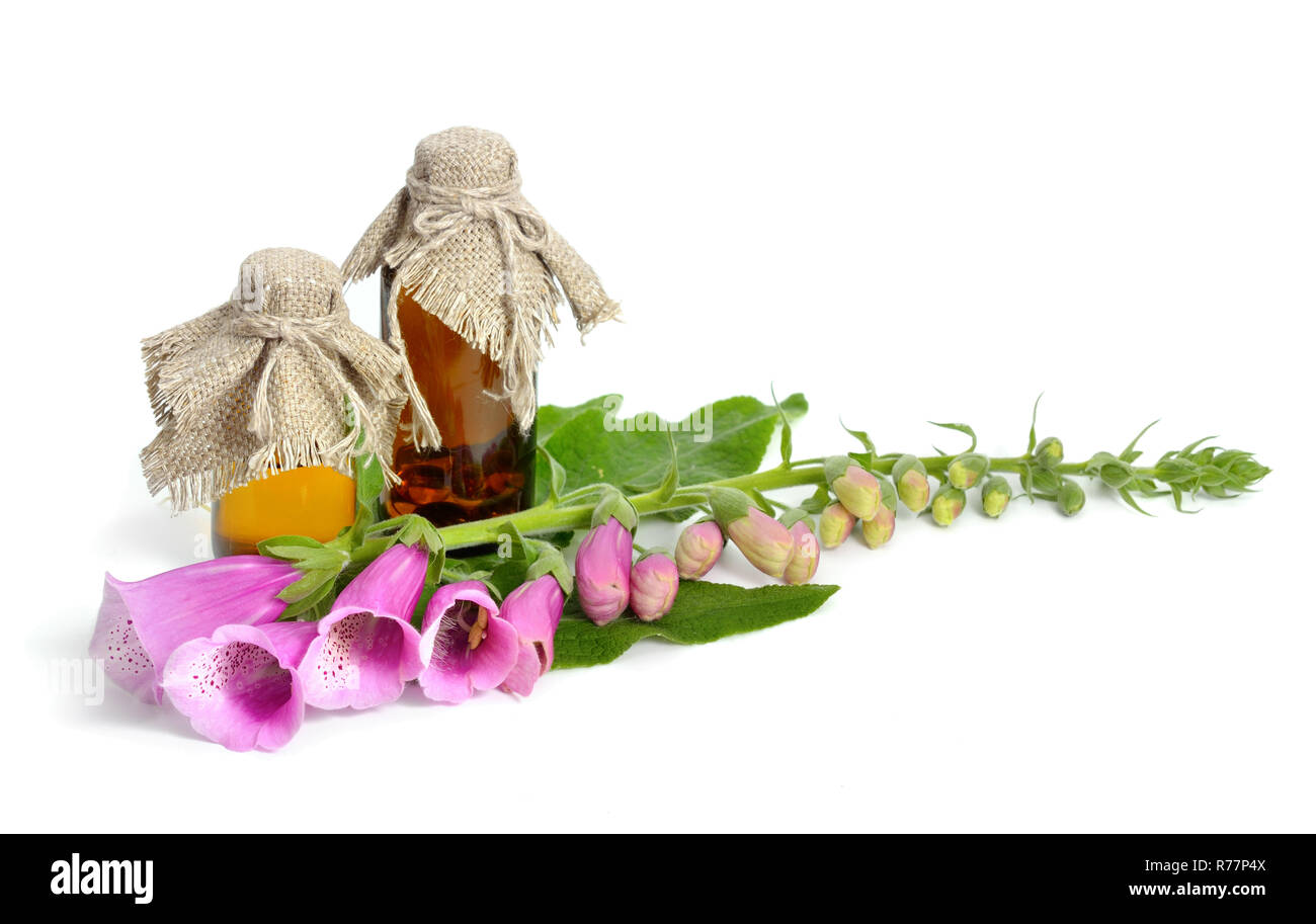 Purple foxglove with pharmaceutical bottle Stock Photo - Alamy