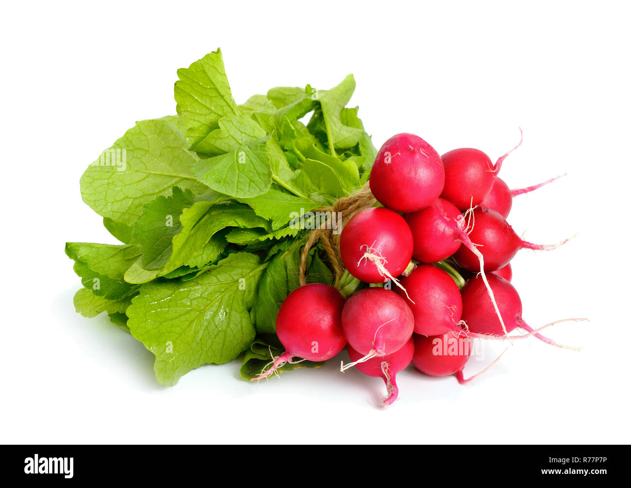 Red garden radish copy hi-res stock photography and images - Alamy