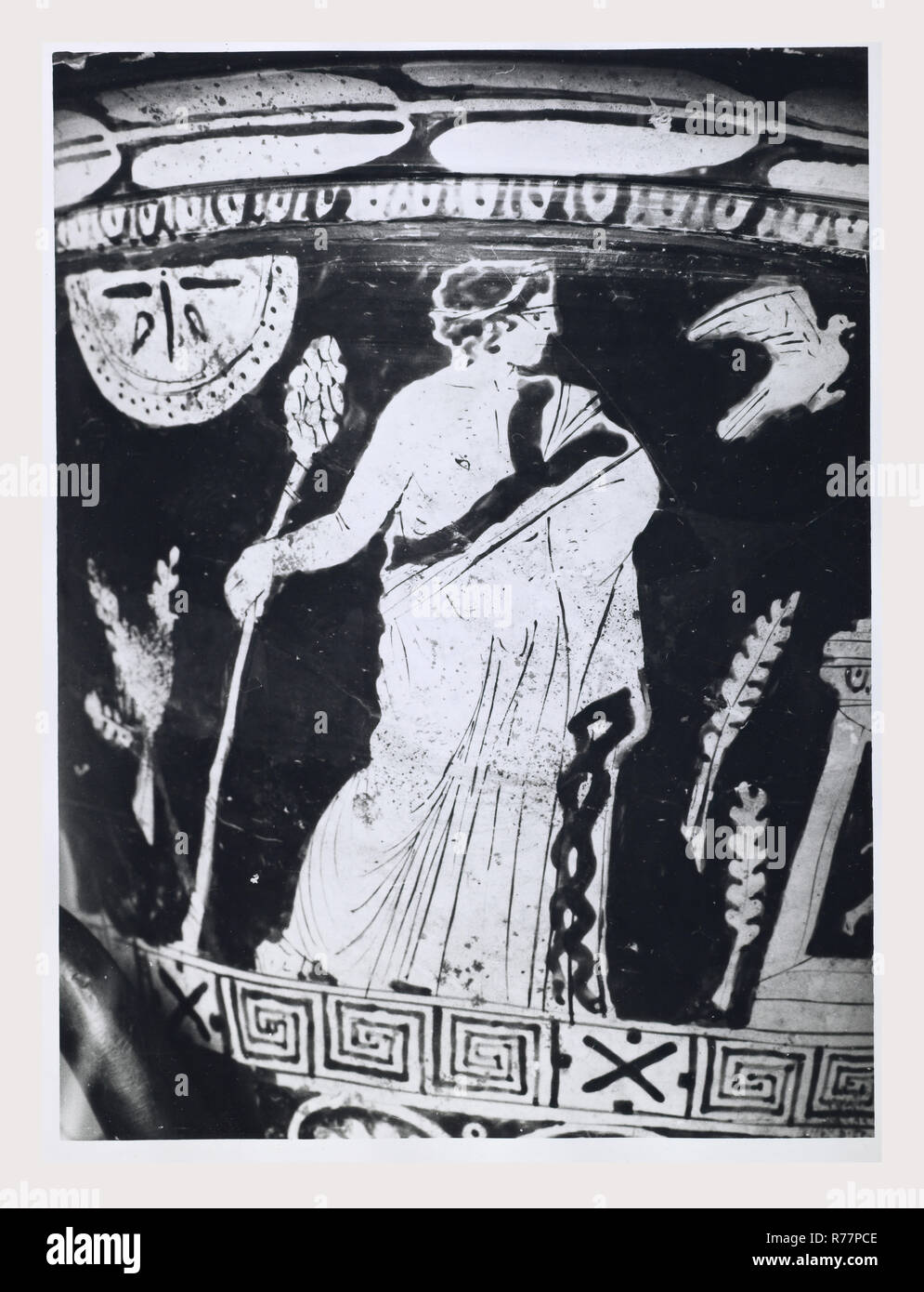 Campania, Salerno, Nocera Inferiore, Museo dell'Agro Nocerino Stock ...