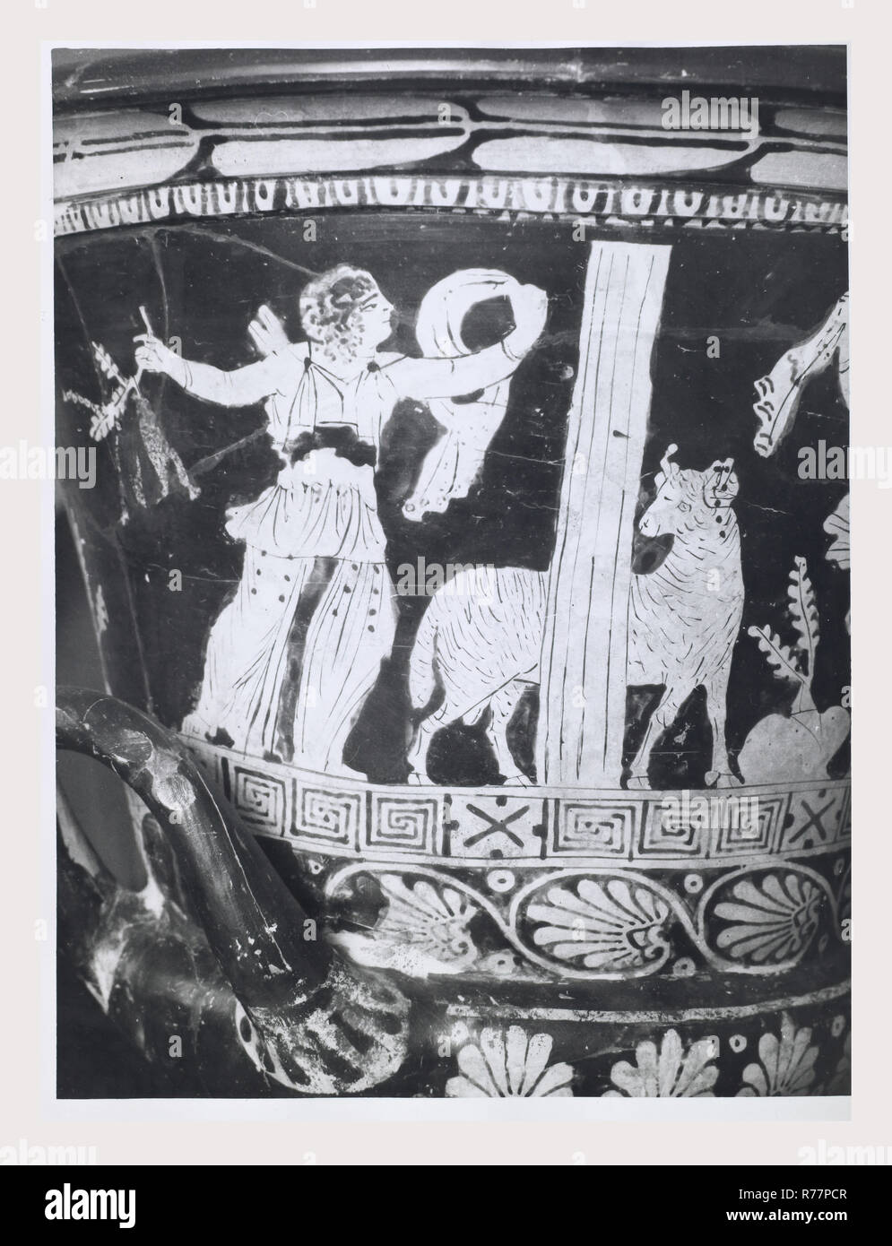 Campania, Salerno, Nocera Inferiore, Museo dell'Agro Nocerino Stock ...