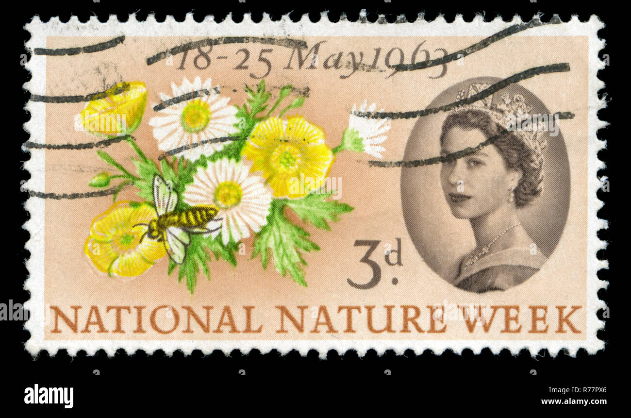 Postage stamp from Great Britain in the National Nature Week series ...