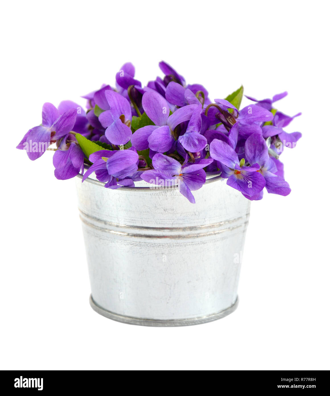 Small bouquet with meadow flowers in a bucket. Isolated on white ...