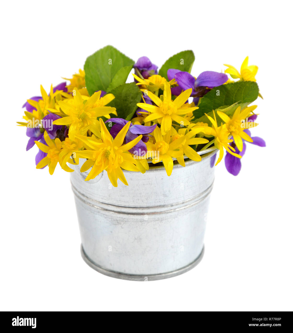 Small bouquet with meadow flowers in a bucket. Isolated on white ...