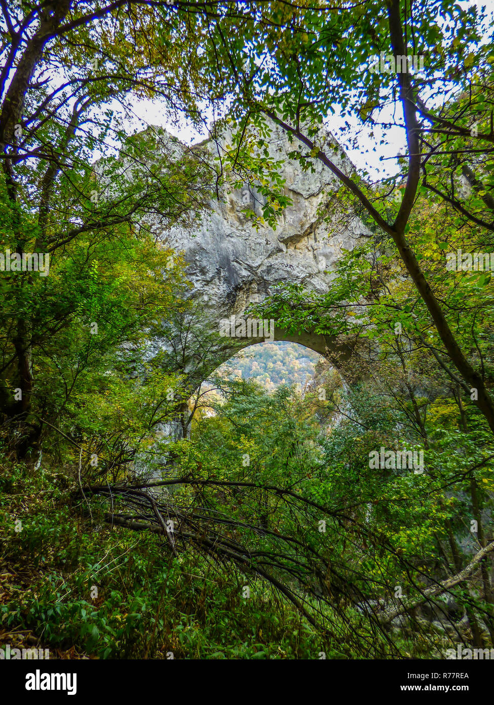 Canyon and natural stone arches of river Vratna in eastern Serbia Stock ...