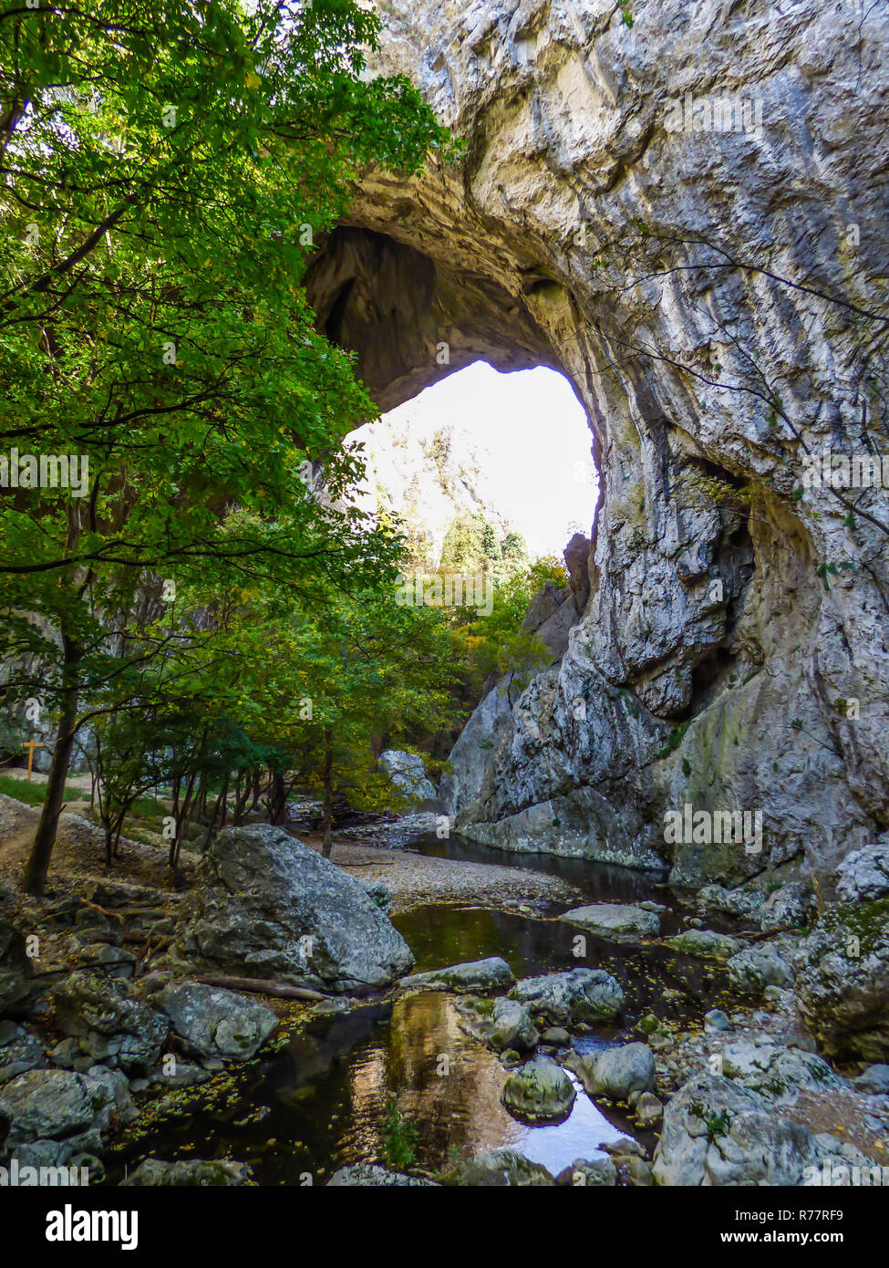 Canyon and natural stone arches of river Vratna in eastern Serbia Stock ...