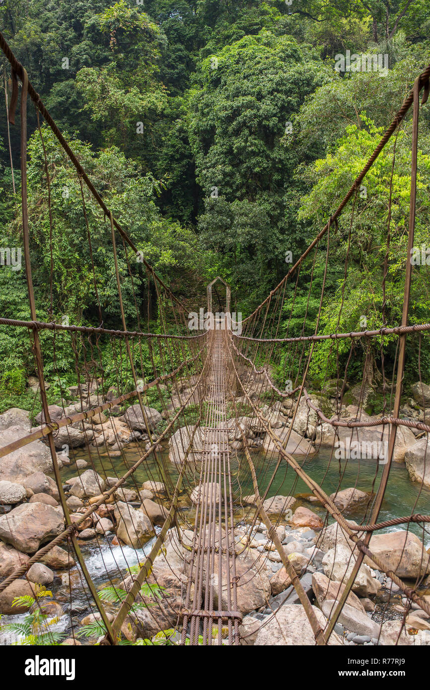 Suspension bridge near Nongriat village, Cherrapunjee, Meghalaya, India ...