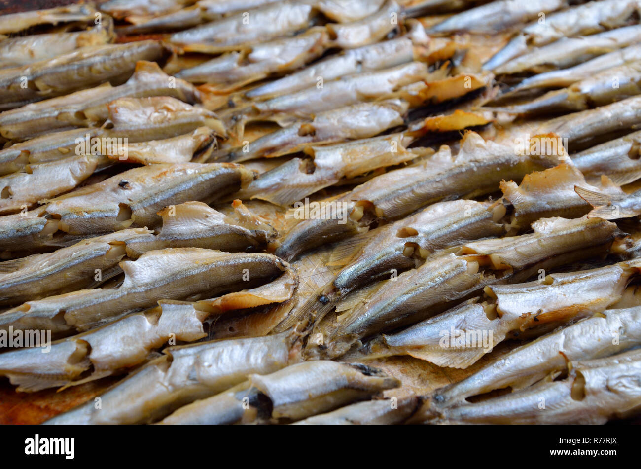 Capelin fishing hi-res stock photography and images - Alamy