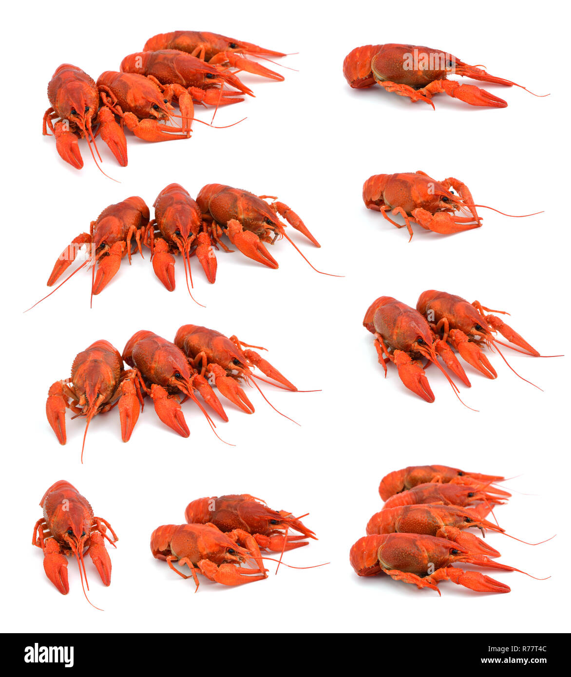 Boiled crawfish set on white background Stock Photo - Alamy