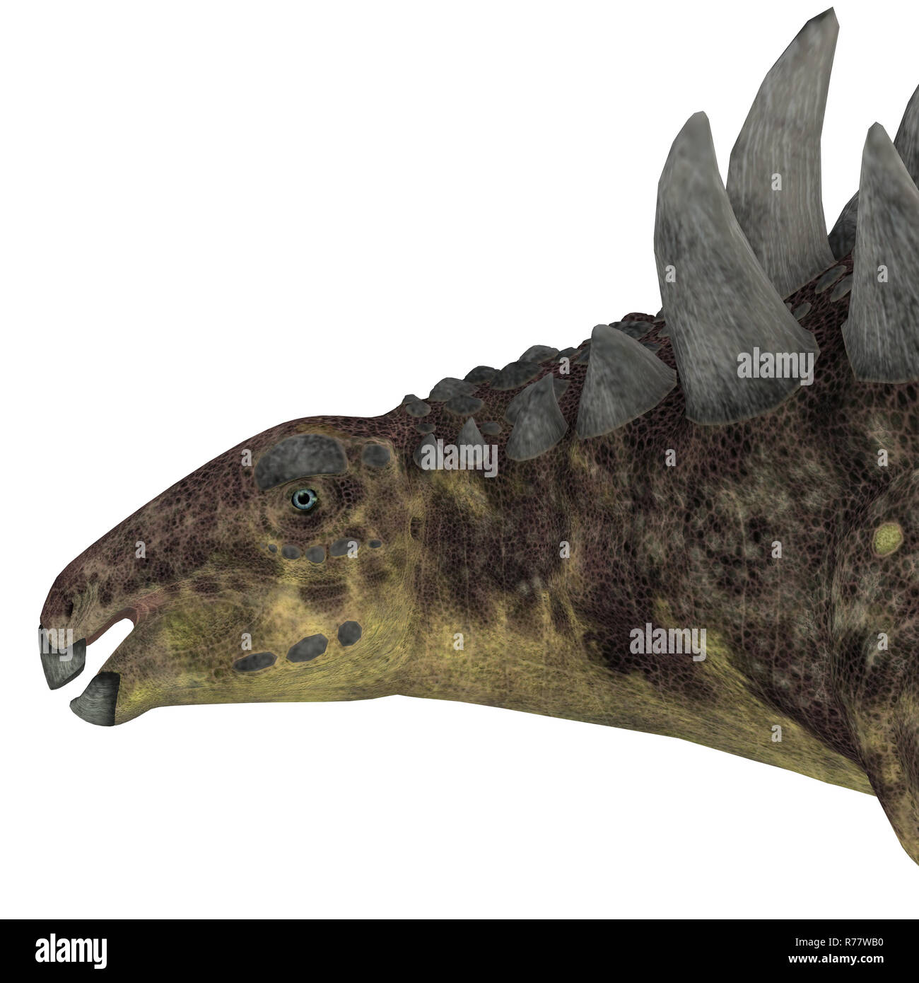 Hungarosaurus hi-res stock photography and images - Alamy