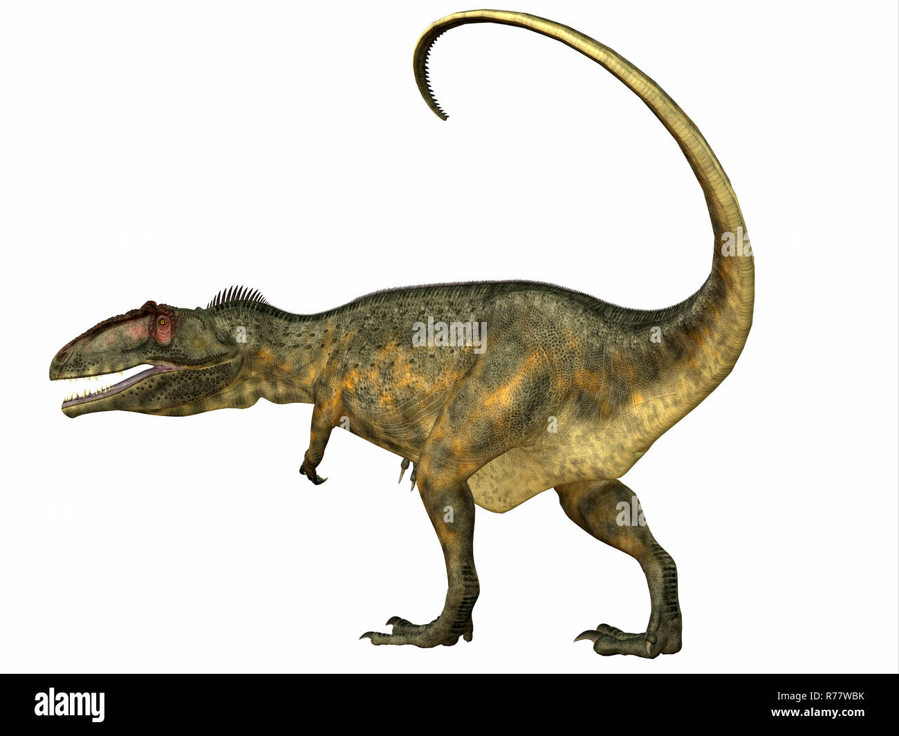 Giganotosaurus Walking With Dinosaurs