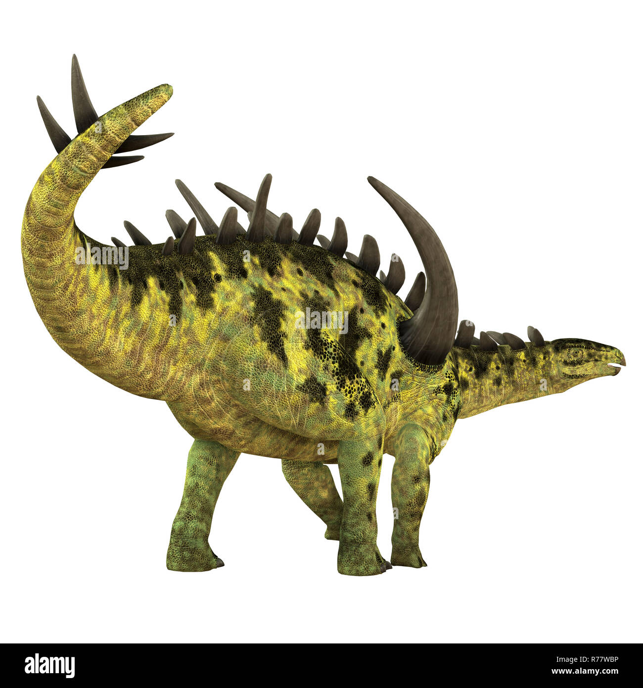 Herbivore teeth and dinosaur hi-res stock photography and images - Alamy