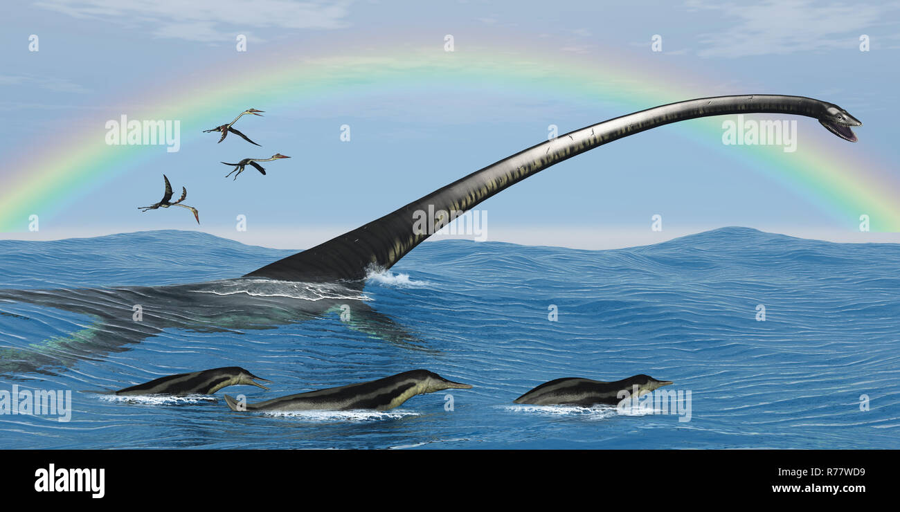 Elasmosaurus platyurus swim hi-res stock photography and images - Alamy