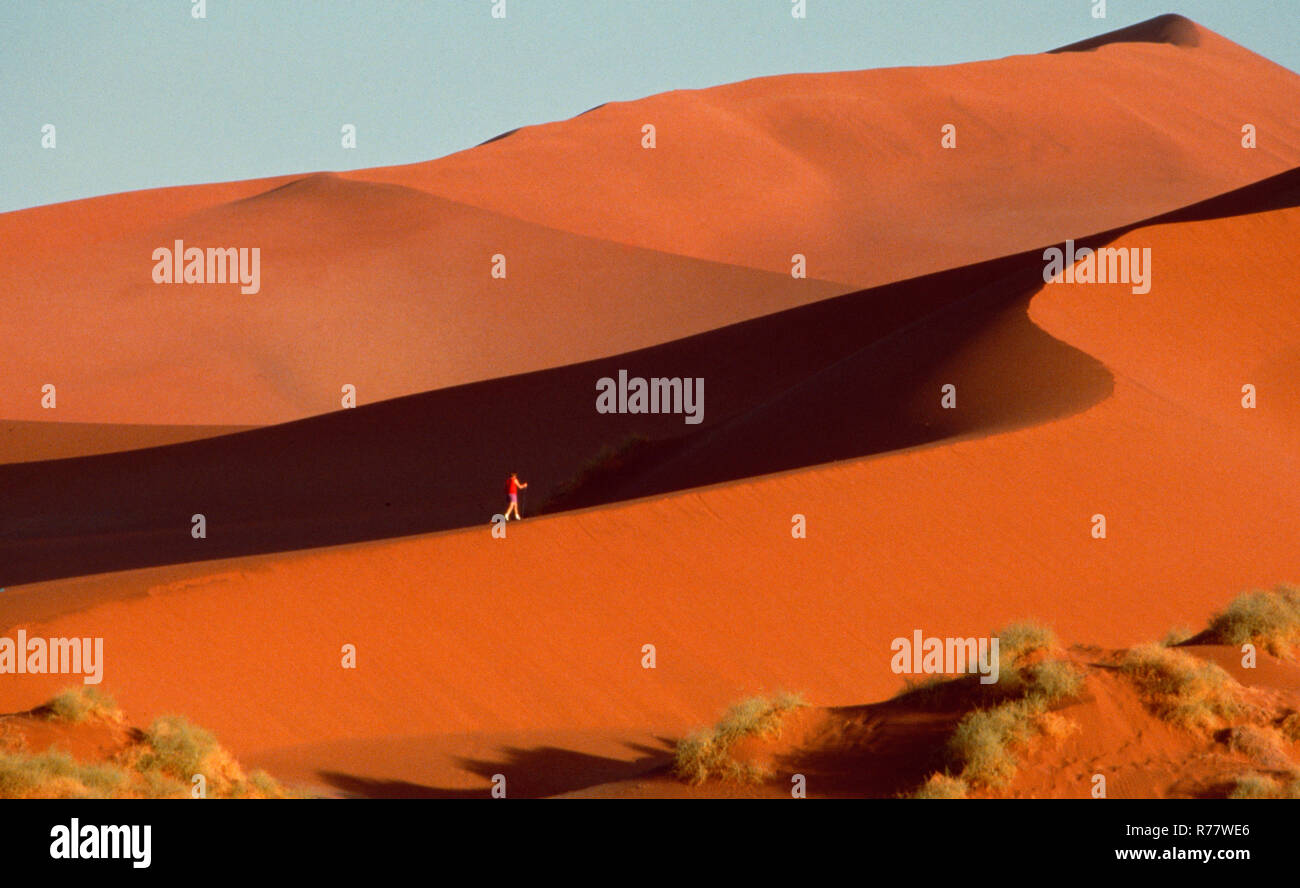 Namib Desert Sand dune walking excursion Stock Photo - Alamy