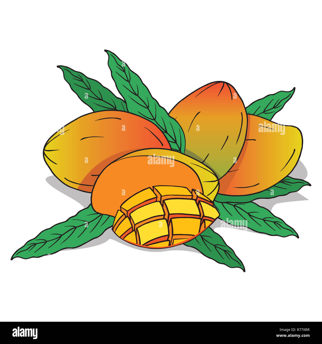 Isolate ripe mango fruit Stock Photo - Alamy