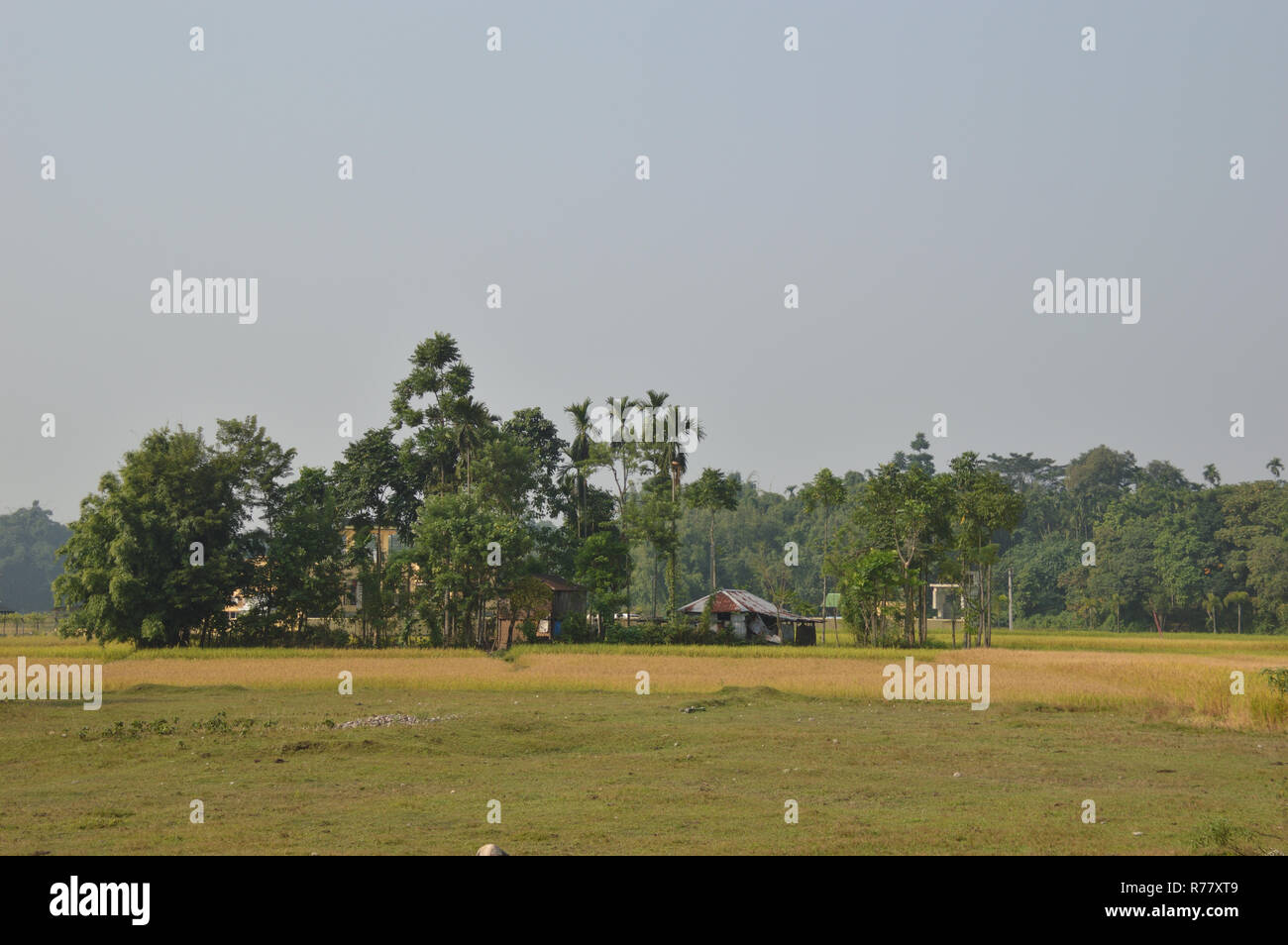 Chalsa hi-res stock photography and images - Alamy