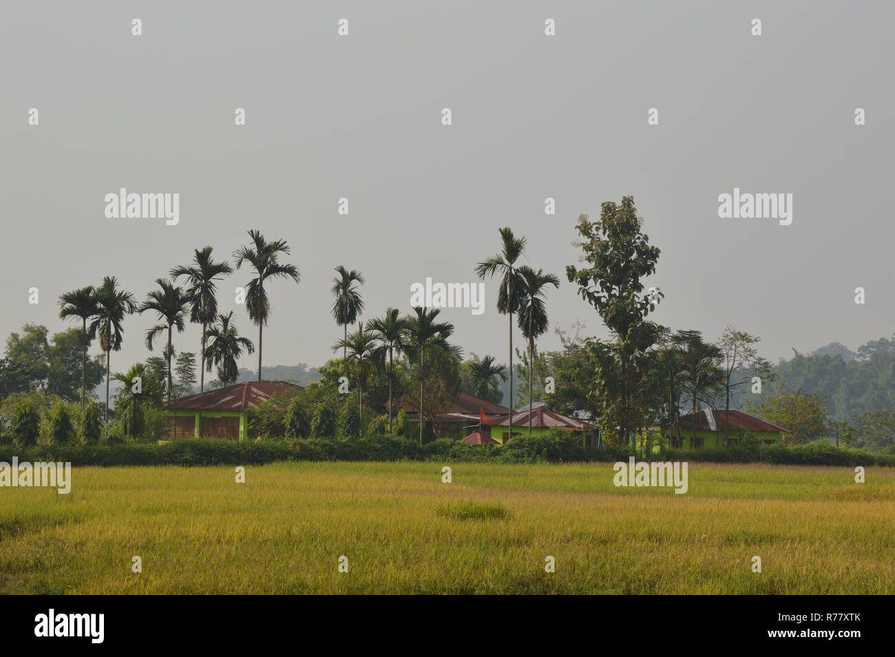 Chalsa hi-res stock photography and images - Alamy