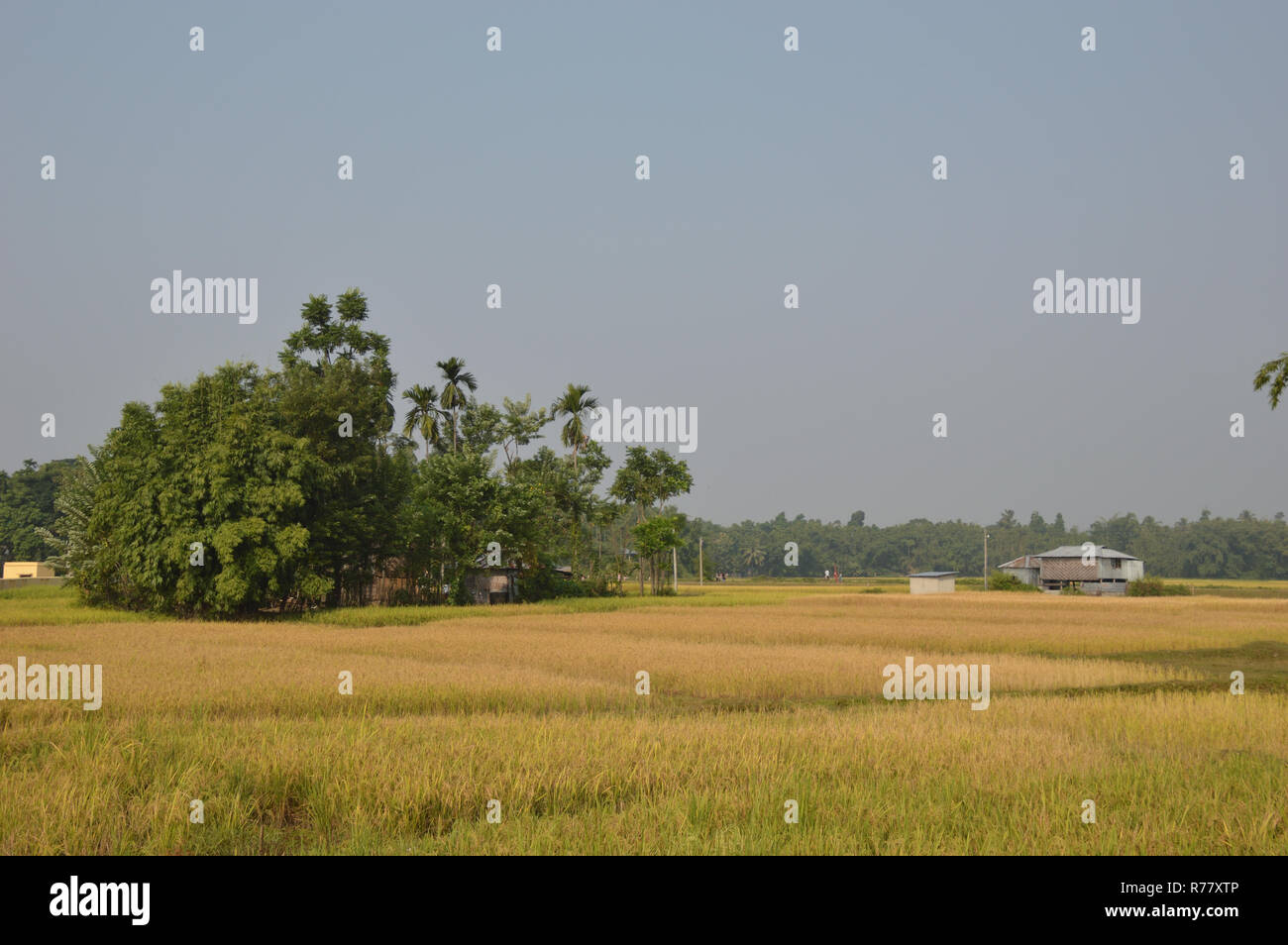 Chalsa hi-res stock photography and images - Alamy