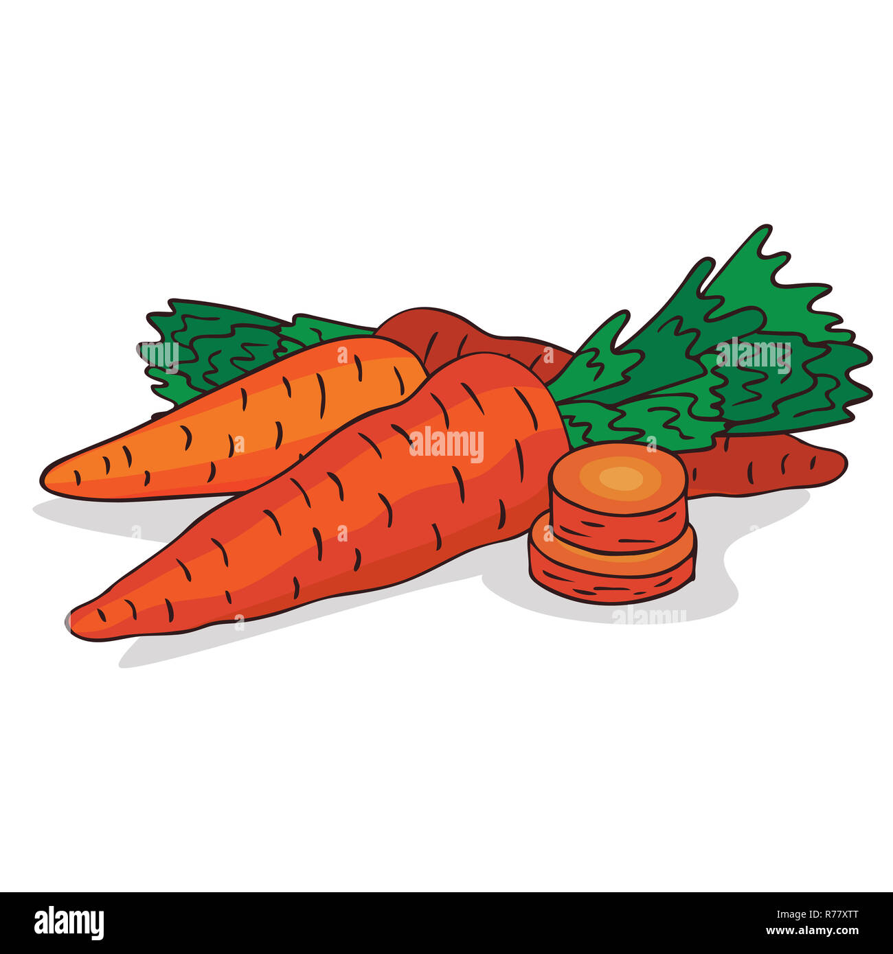 Root area Cut Out Stock Images & Pictures - Alamy