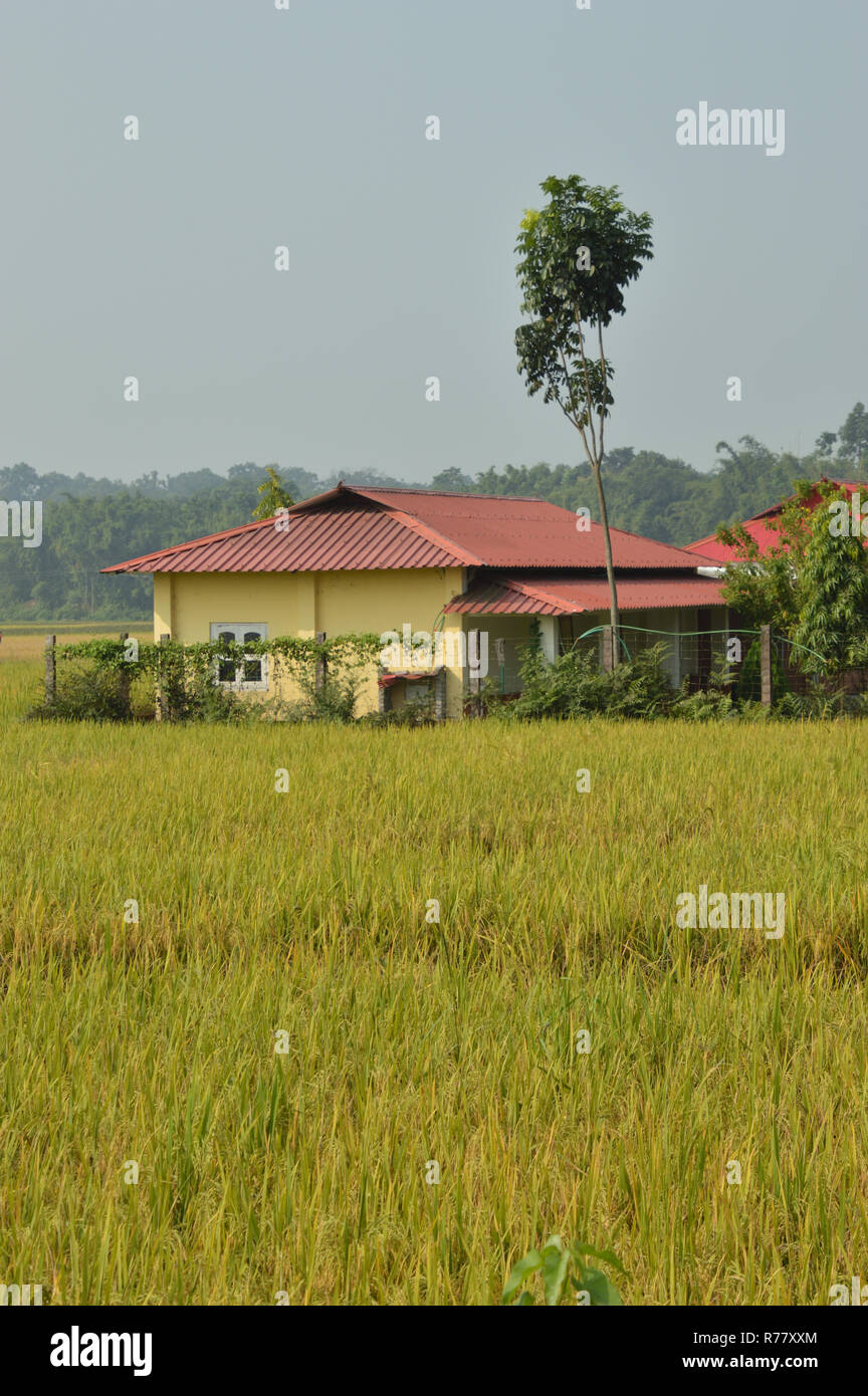 Chalsa hi-res stock photography and images - Alamy