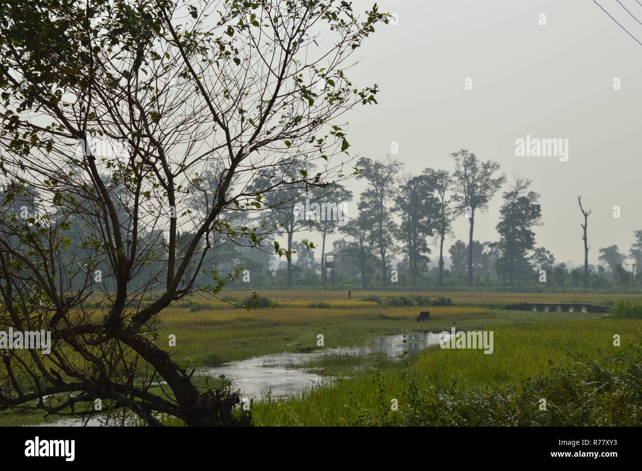 Chalsa hi-res stock photography and images - Alamy