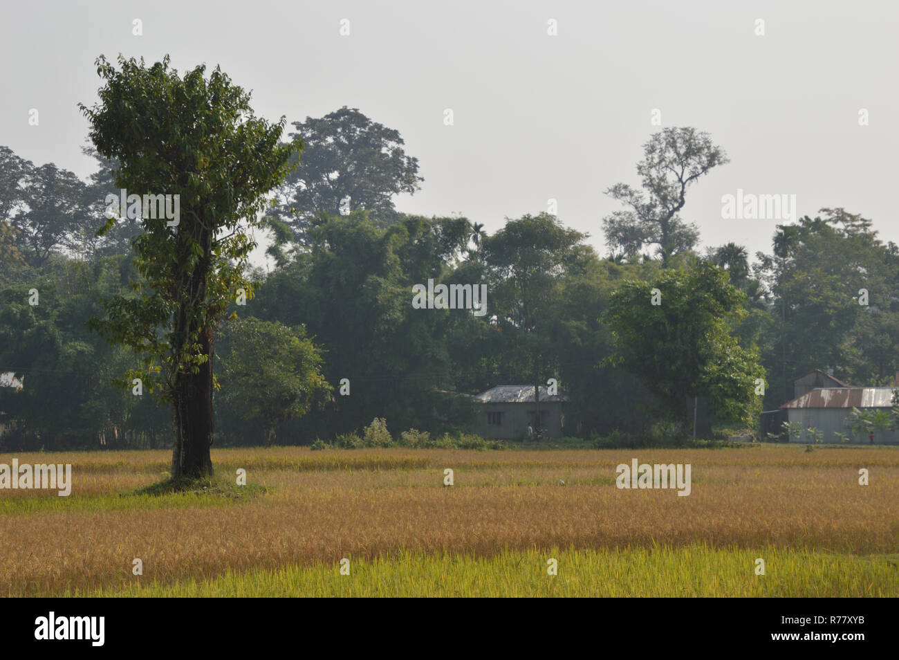 Chalsa hi-res stock photography and images - Alamy