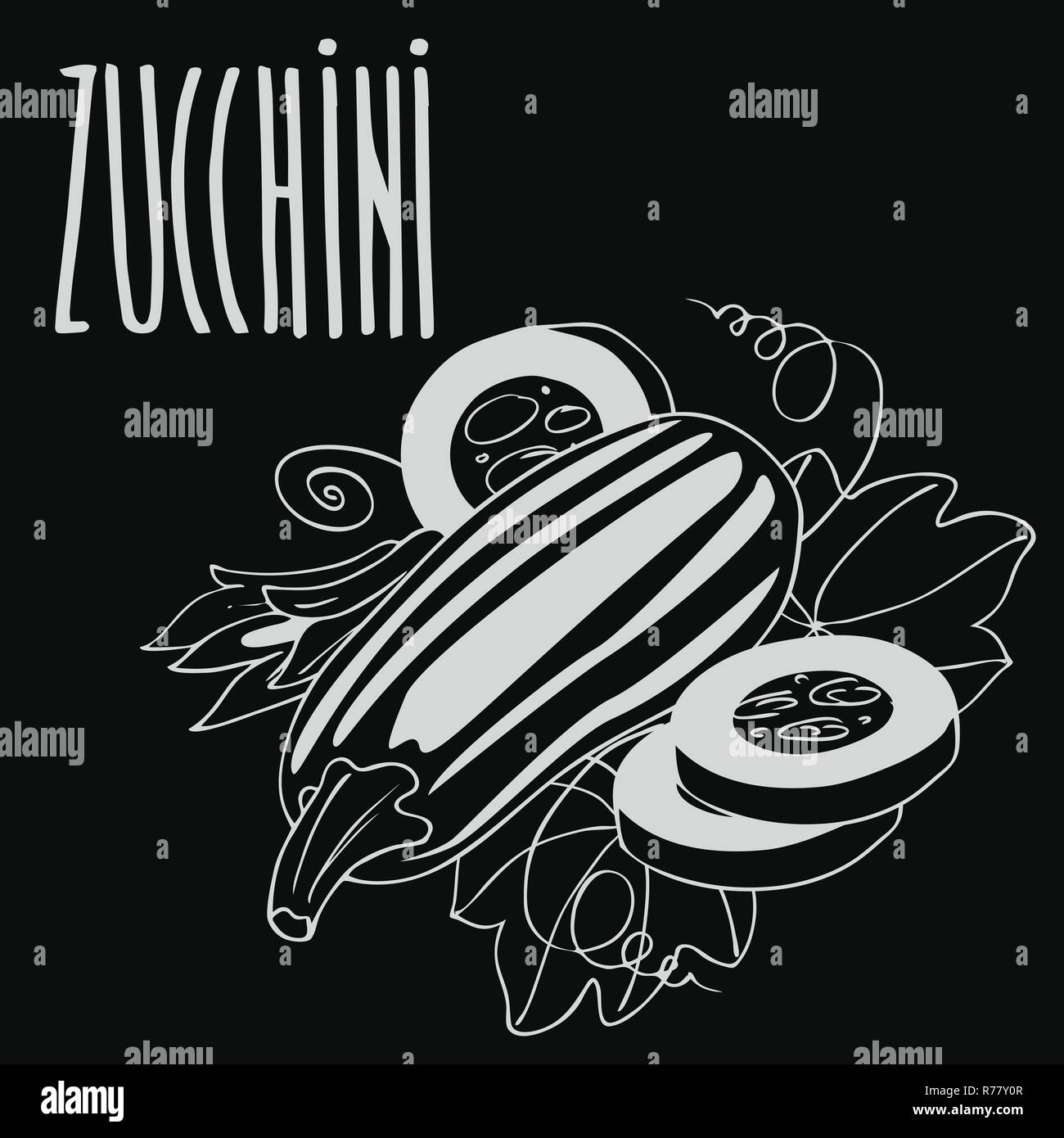 Courgette plant drawing hi-res stock photography and images - Alamy