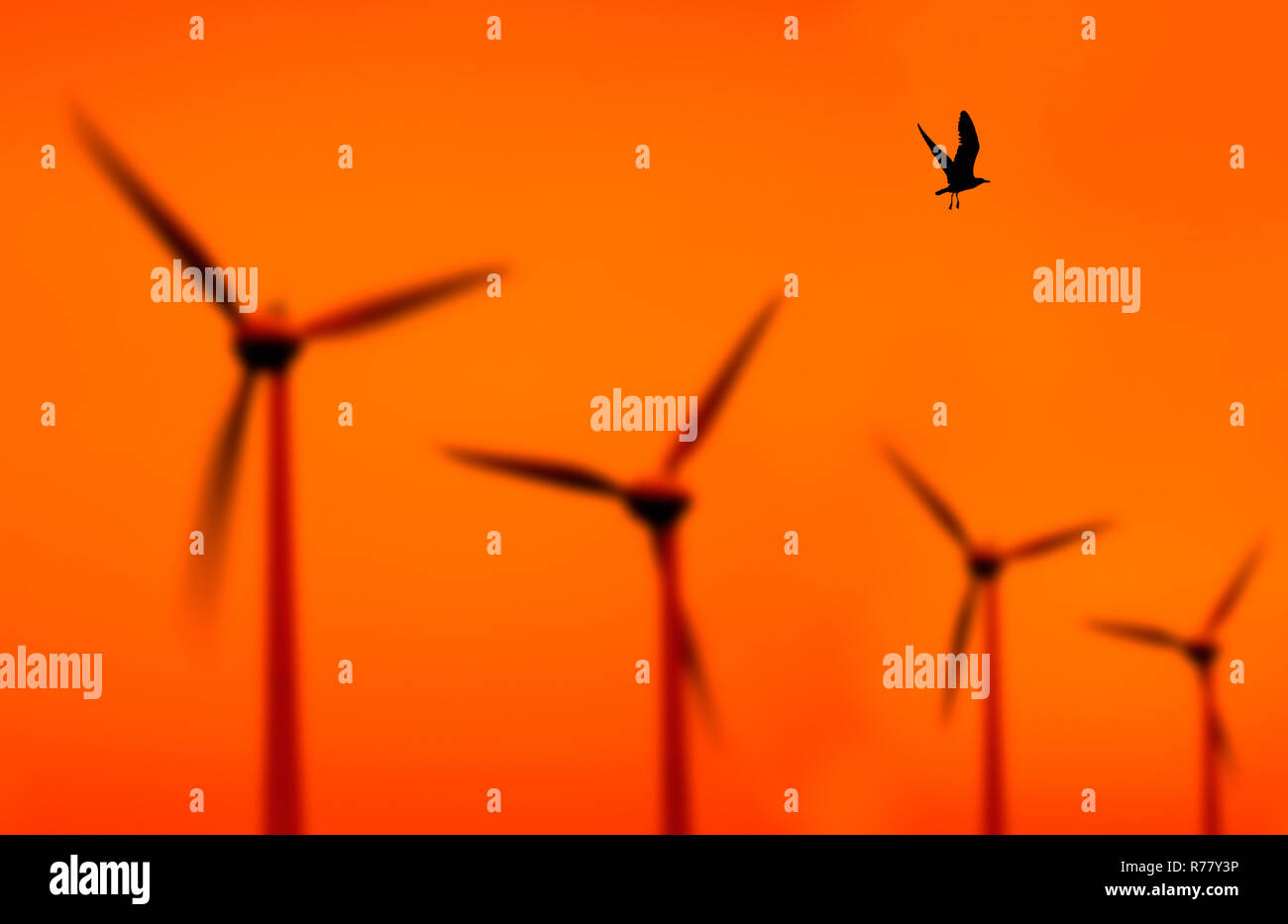wind turbines and bird Stock Photo - Alamy