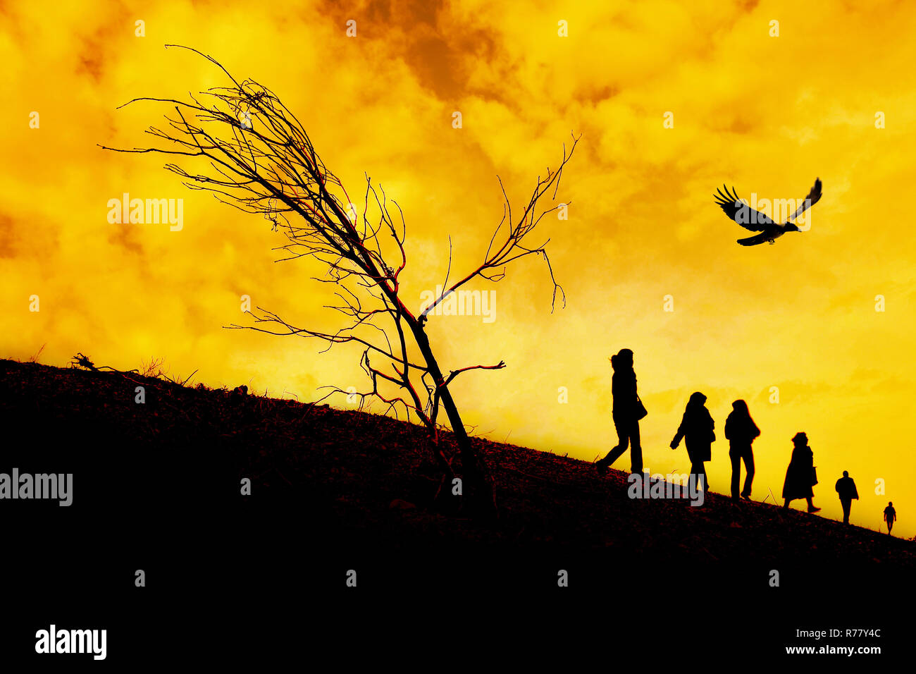 people walking and bird flying Stock Photo - Alamy