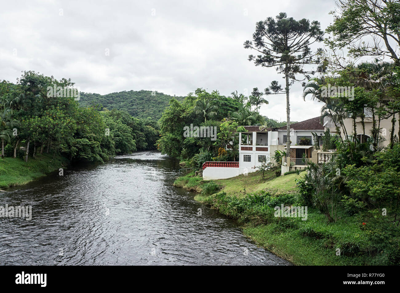 historic city Morretes Brazil architecture river araucaria tree nature ...