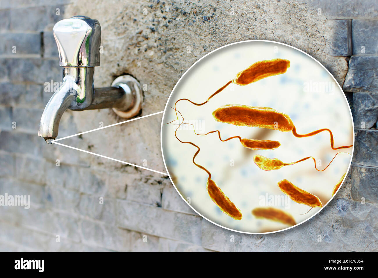 Bacteria In Drinking Water