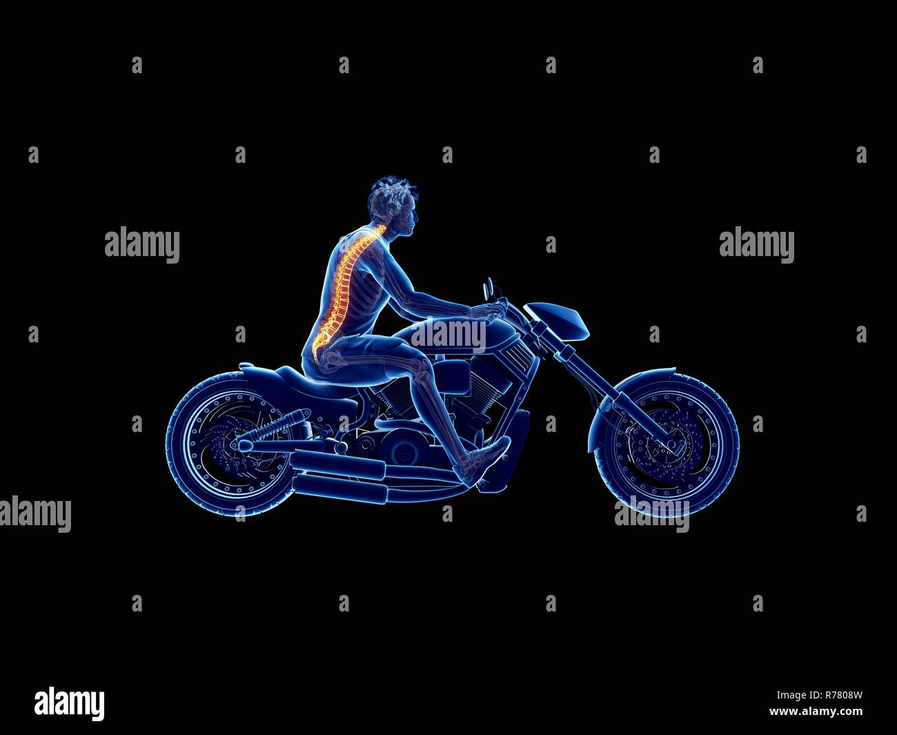 3d rendered illustration of a biker's spine Stock Photo - Alamy
