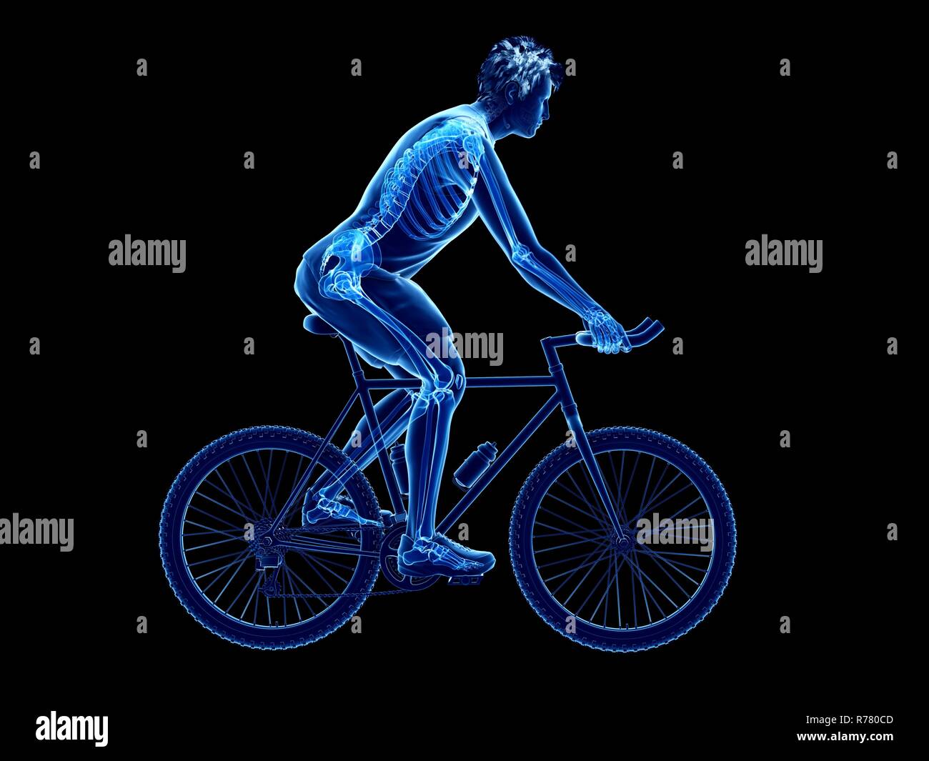 3d rendered illustration of a cyclist's skeleton Stock Photo - Alamy