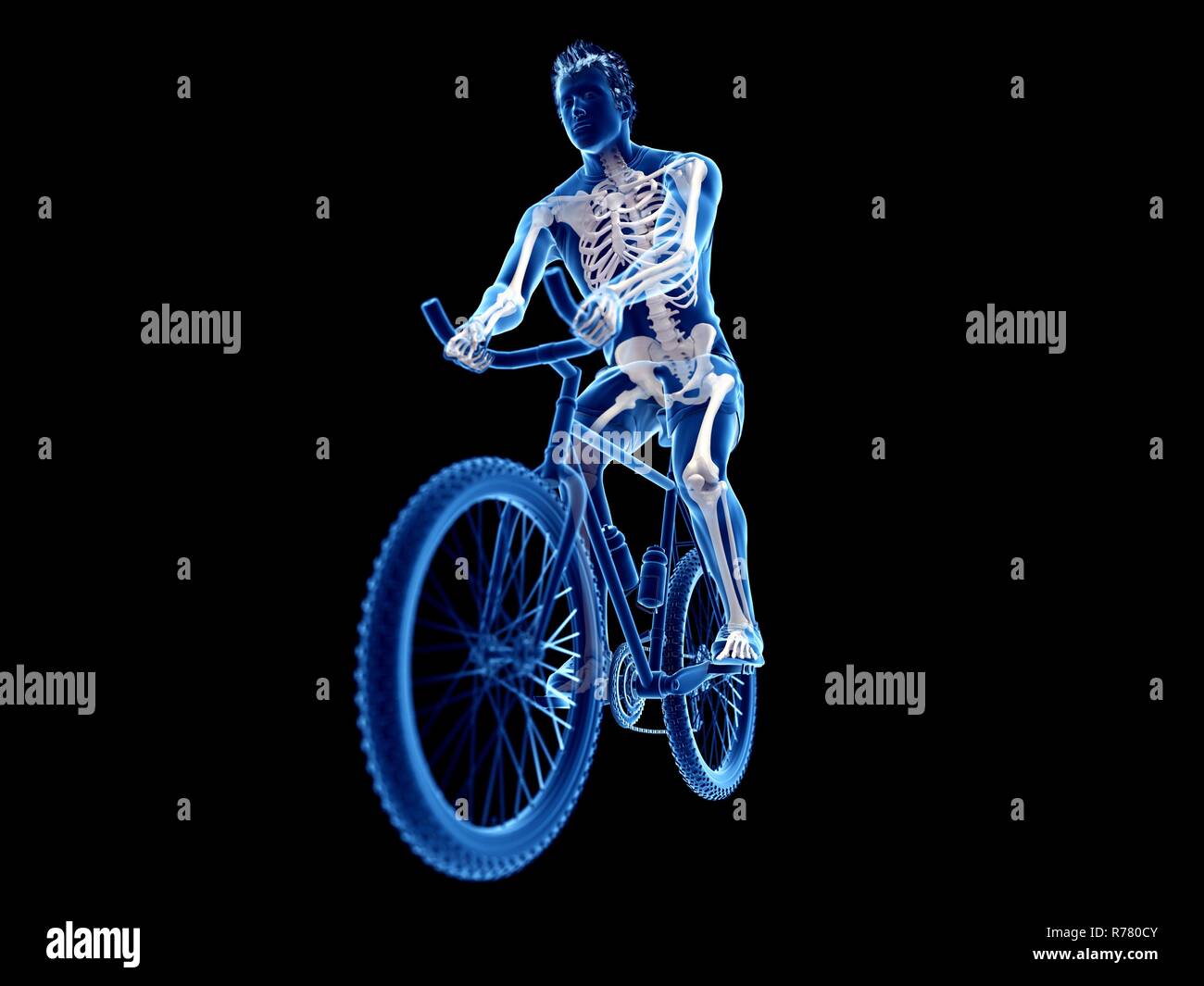 Skeleton Biking High Resolution Stock Photography and Images - Alamy