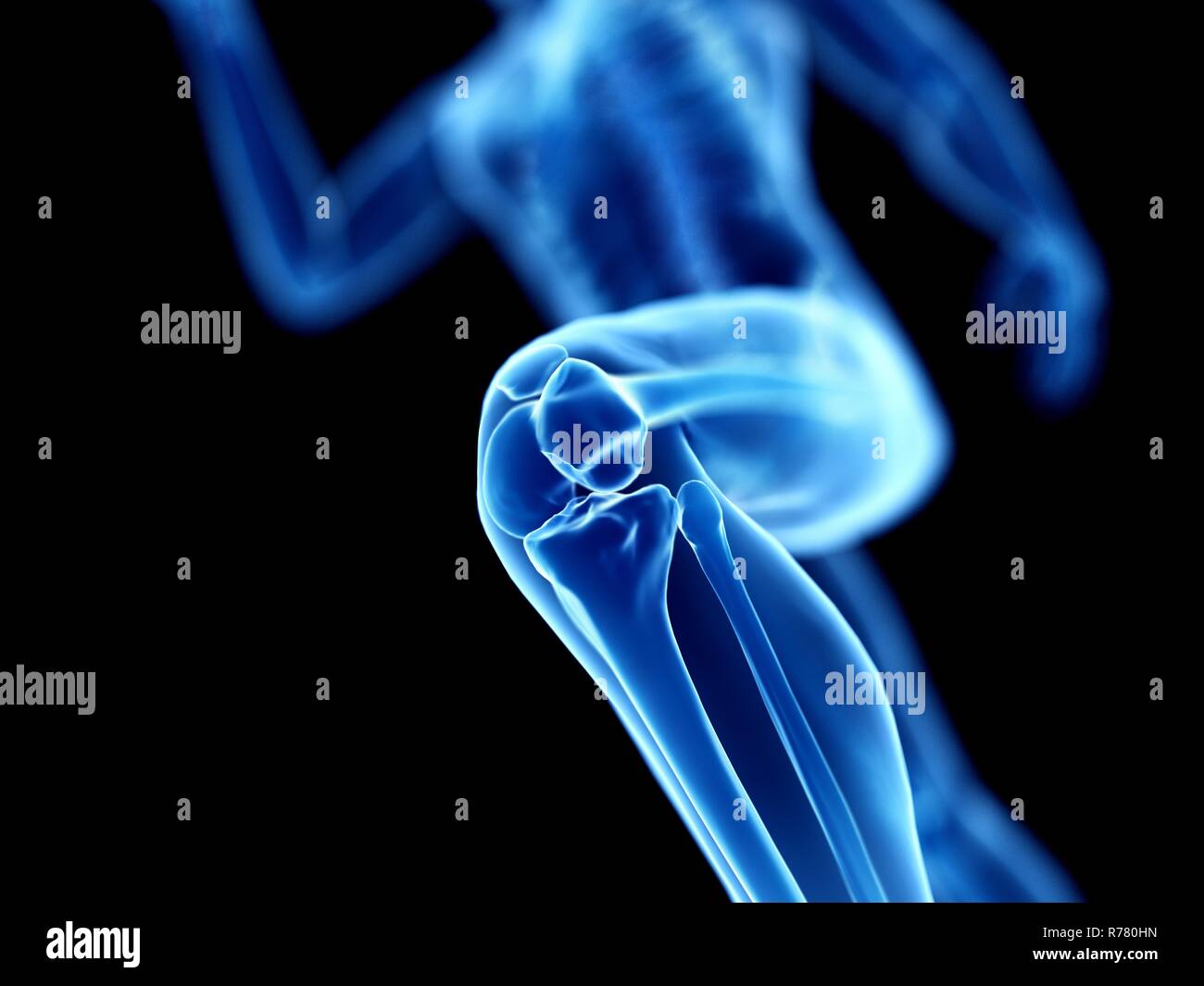 Human joint of a runner hi-res stock photography and images - Alamy