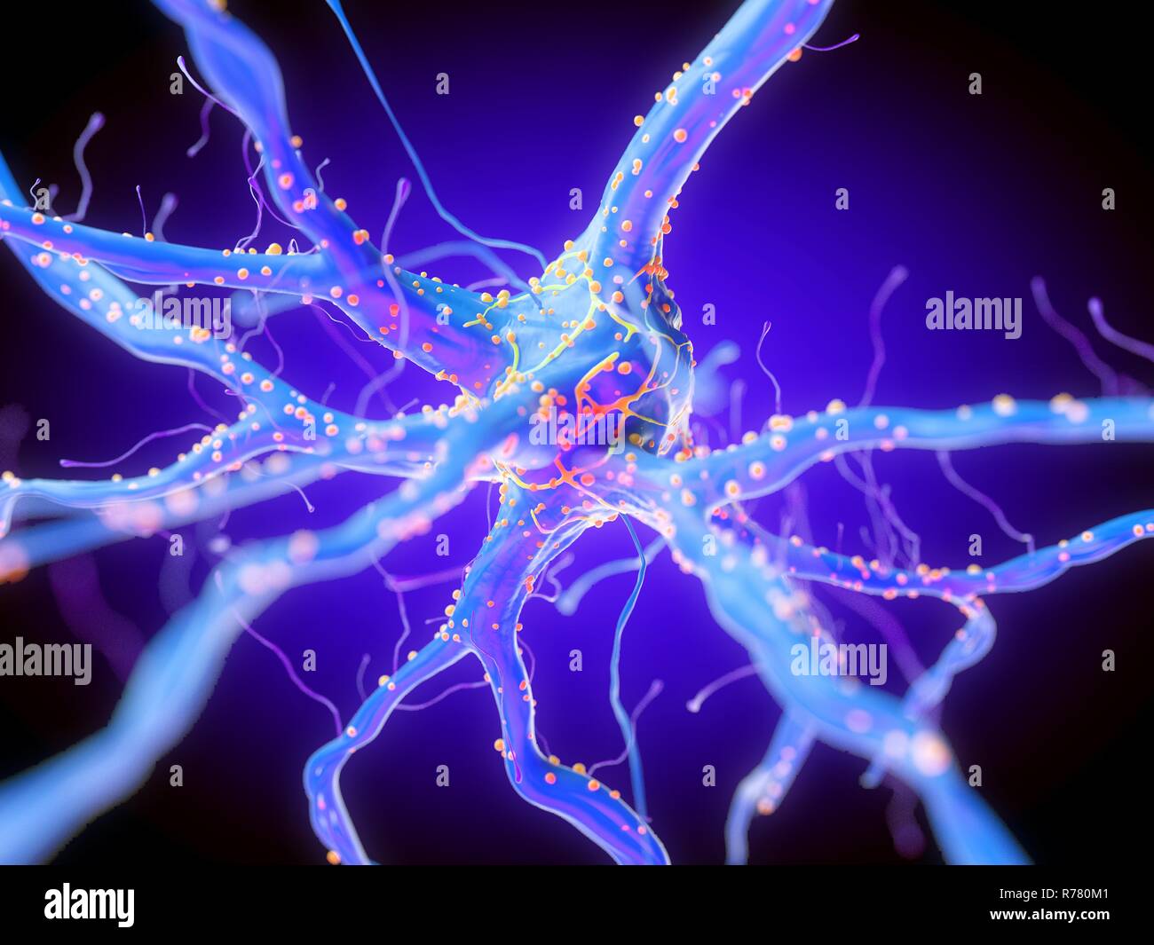 3d rendered illustration of a nerve cell Stock Photo - Alamy