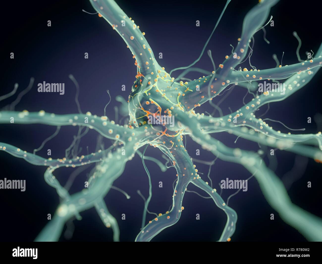 3d rendered illustration of a nerve cell Stock Photo - Alamy