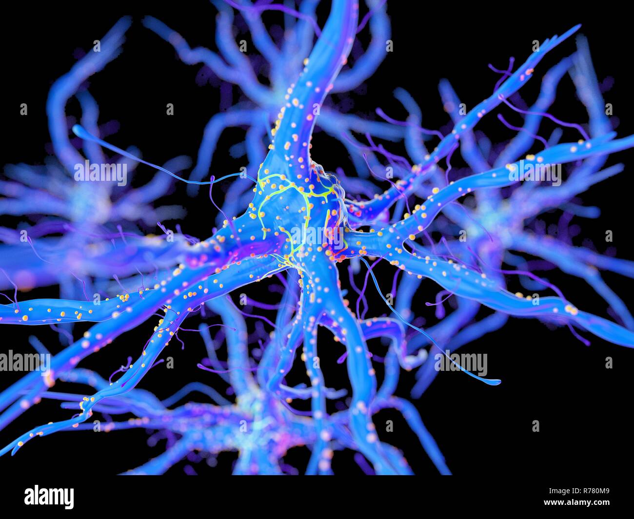 3d rendered illustration of a nerve cell Stock Photo - Alamy