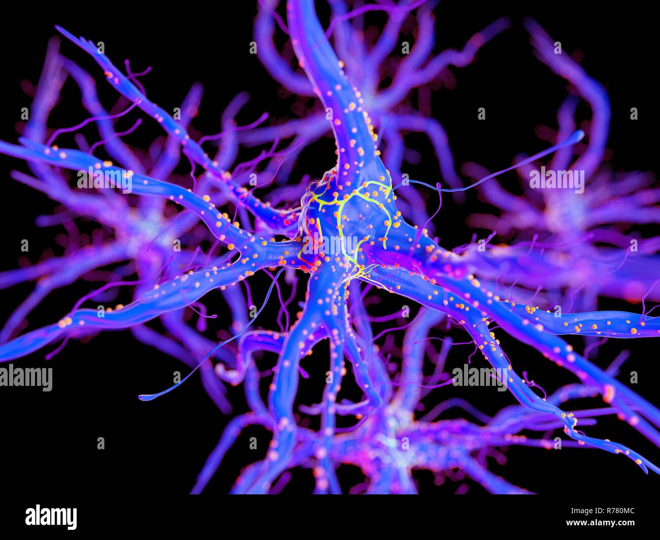 3d rendered illustration of a nerve cell Stock Photo - Alamy