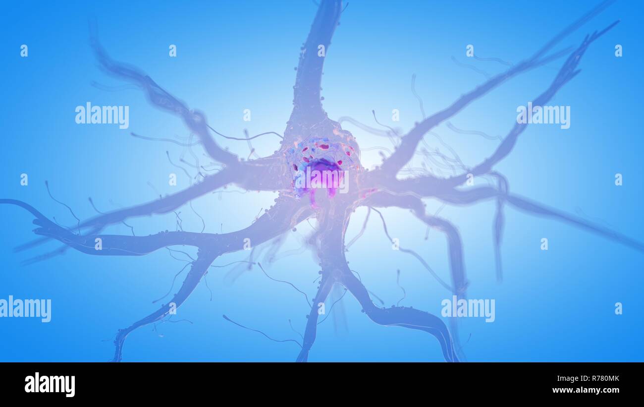 Human nervous system 3d rendered hi-res stock photography and images ...