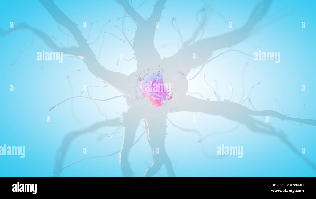 3d rendered illustration of a human nerve cell Stock Photo - Alamy