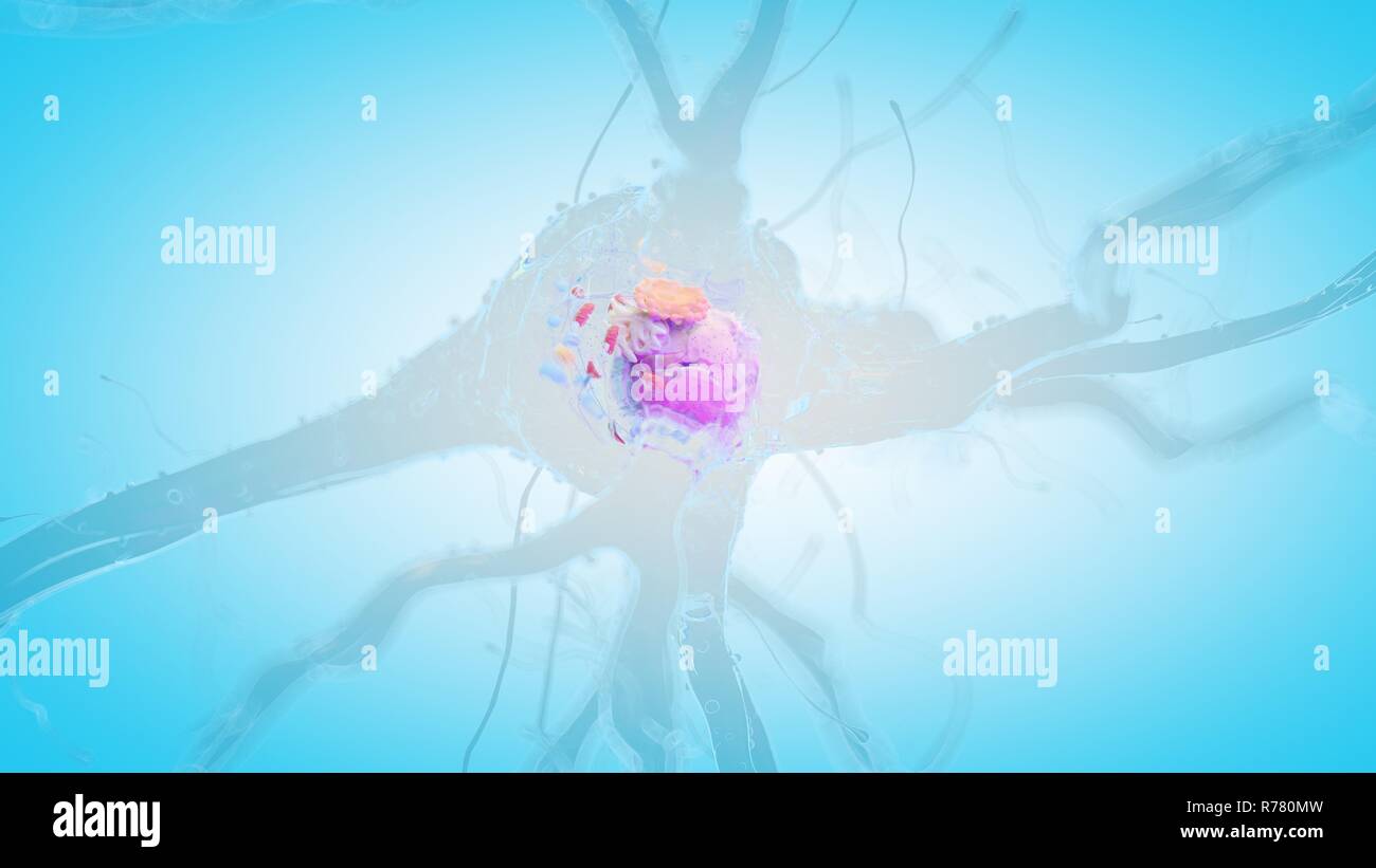 3d rendered illustration of a human nerve cell Stock Photo - Alamy