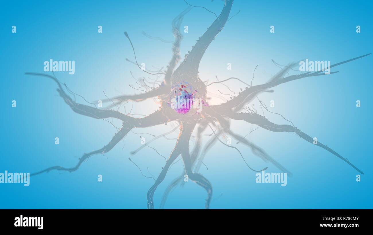 Human nervous system 3d rendered hi-res stock photography and images ...