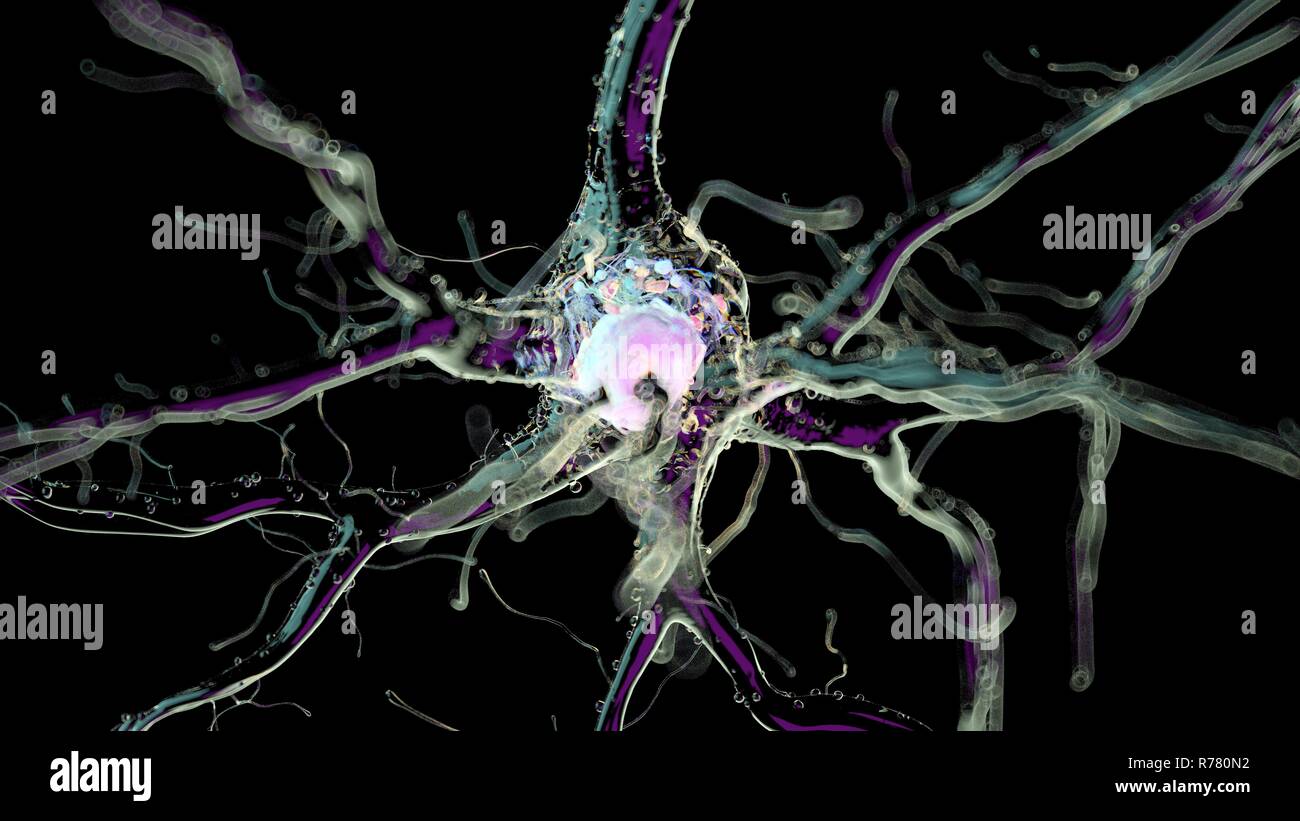 3d rendered illustration of a human nerve cell Stock Photo - Alamy