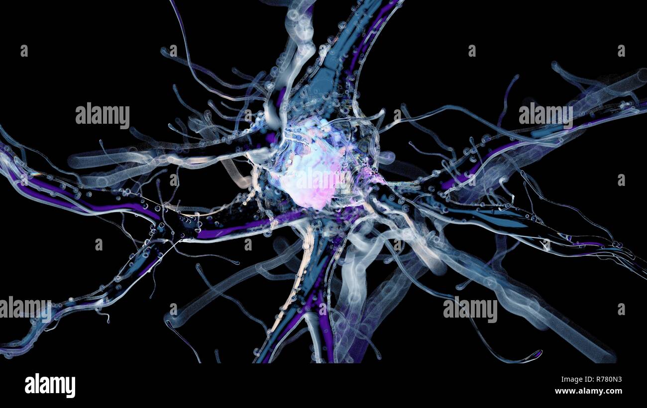 Nervous system 3d hi-res stock photography and images - Alamy