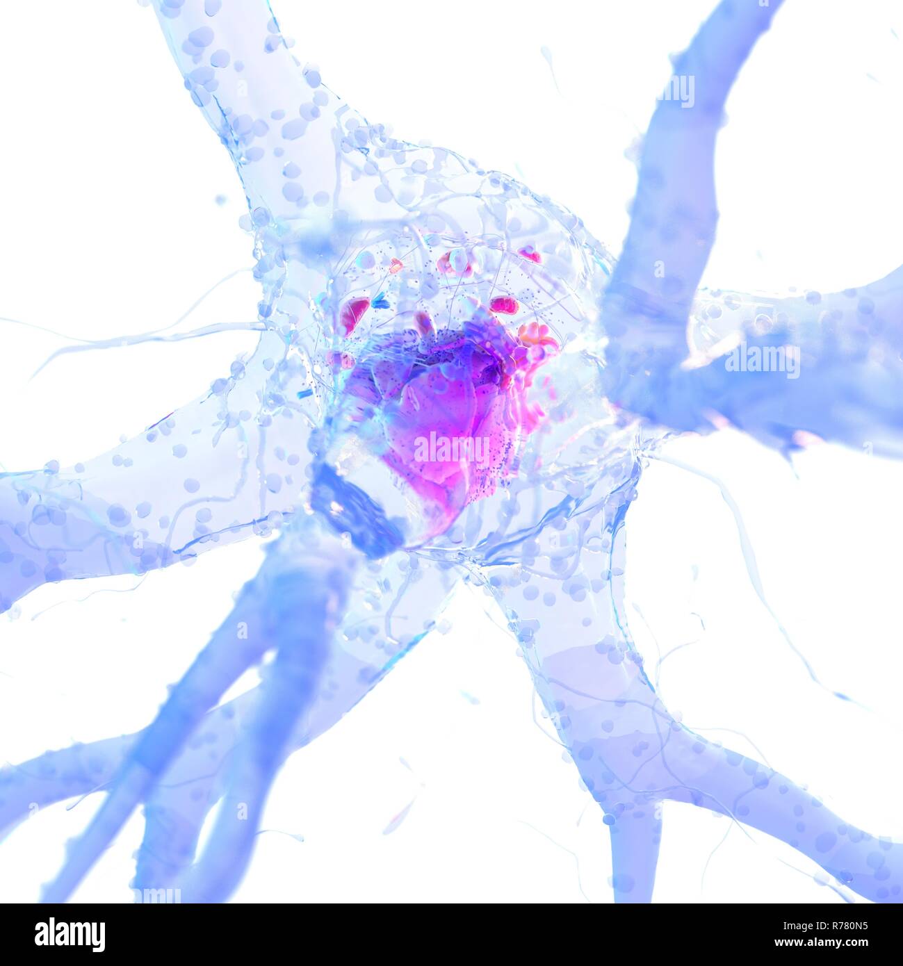 3d rendered illustration of a nerve cell Stock Photo - Alamy
