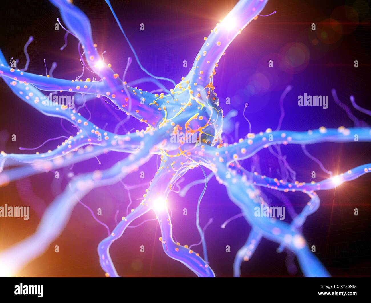 Active nerve cell hi-res stock photography and images - Alamy