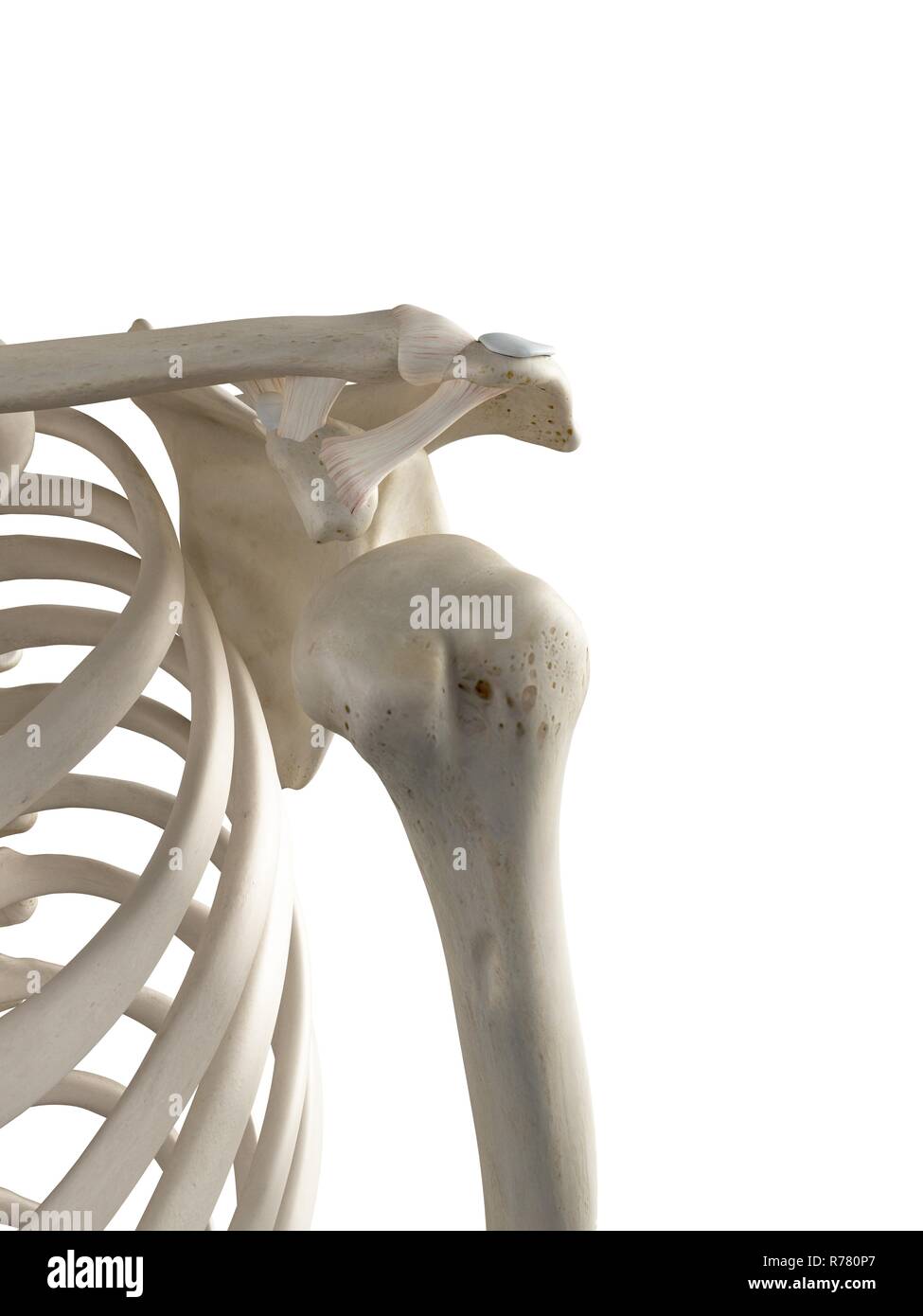 Dislocated shoulder hi-res stock photography and images - Alamy