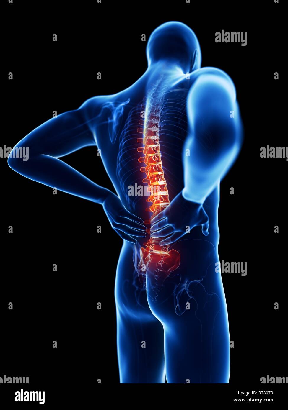 Body backache backbone body hi-res stock photography and images - Alamy