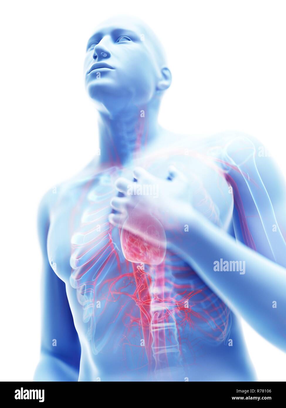3d rendered illustration of a man with chest pain Stock Photo - Alamy