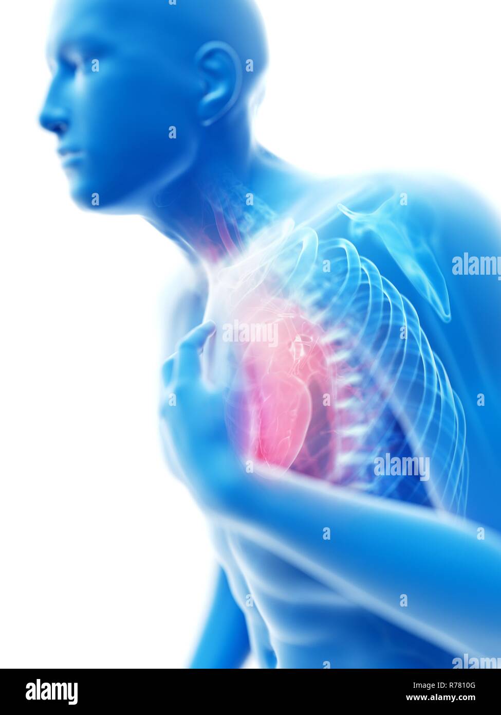 3d rendered illustration of a man with chest pain Stock Photo - Alamy